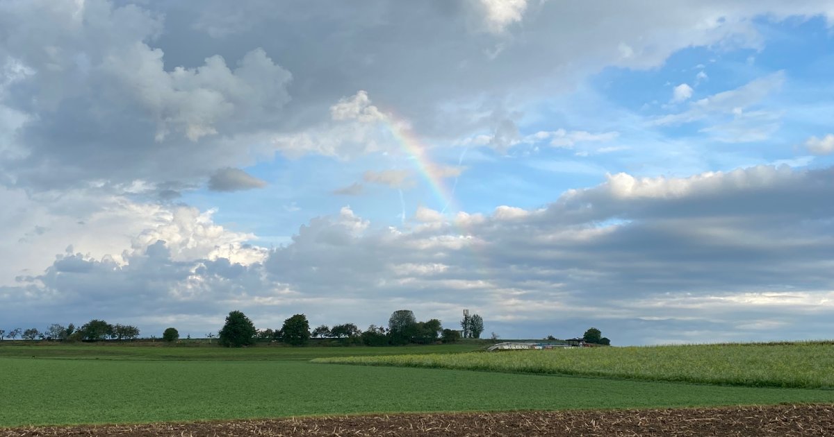Vortrag VHS Gilching "Klimafit - Klimawandel vor der Haustür! was kann ...